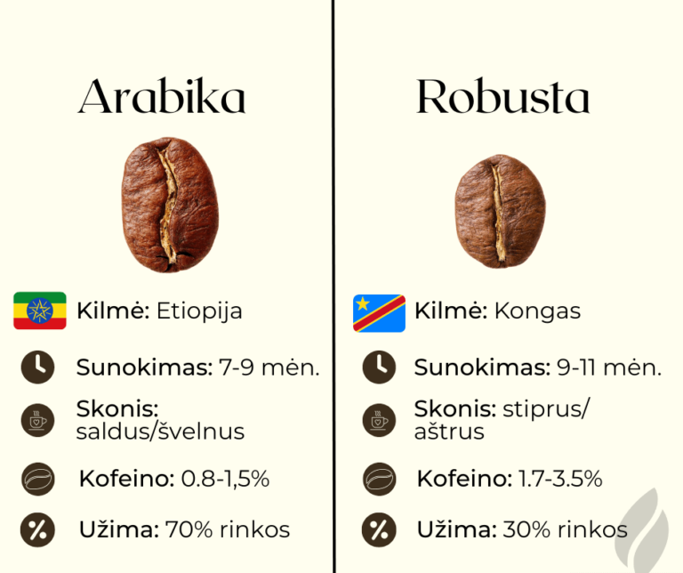 Robusta Kava: Išsamus Gidas