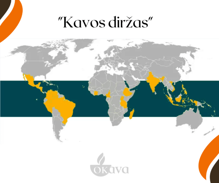Kavos Rūšys: Kuo Skiriasi Pupelių Savybės?