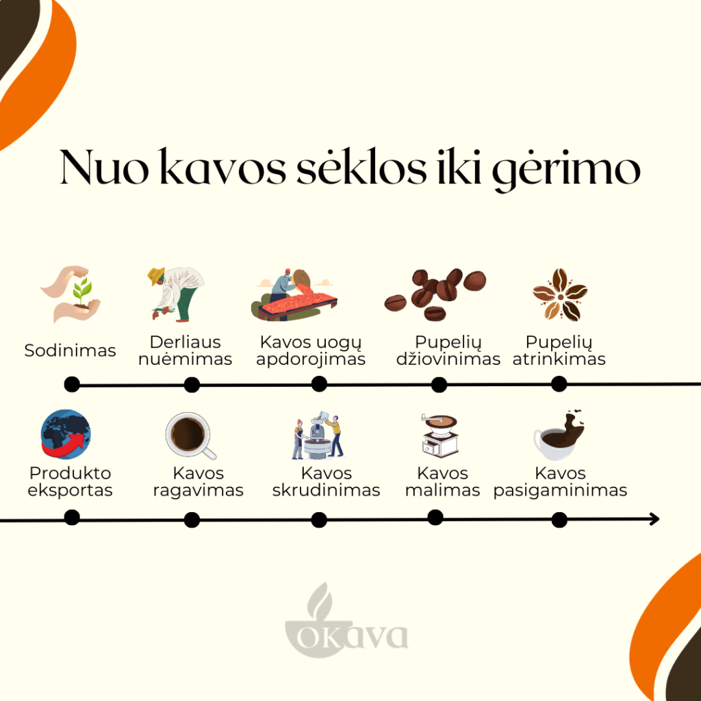 Kavamedis: Kavos Kelias Iki Mūsų Stalo