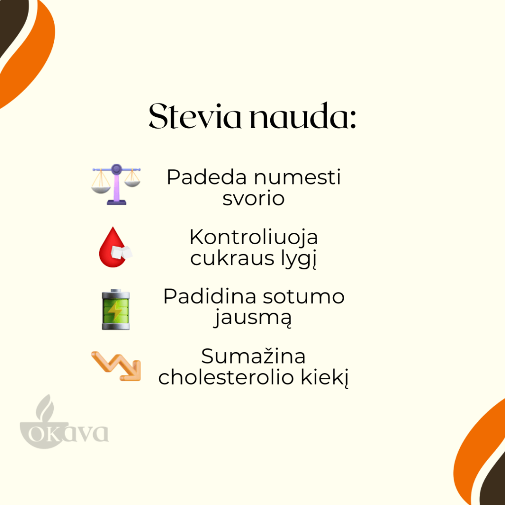 Stevija Saldiklis (Stevia Cukrus): Kas Tai Yra? [+Nauda]