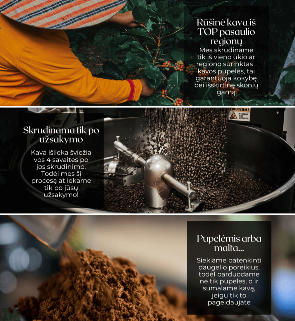 Rūšinė Kava Internetu [Pupelės, Malta]